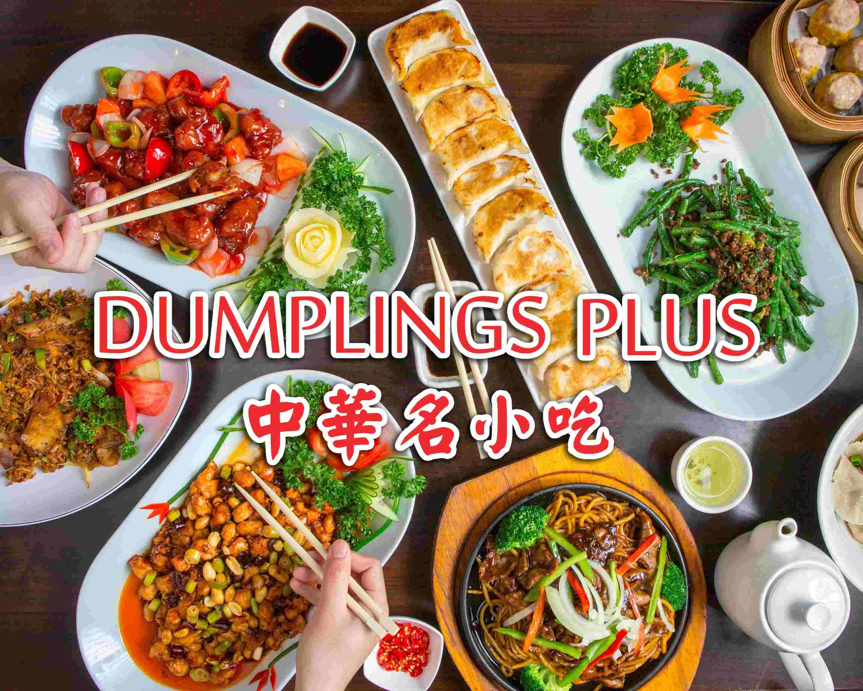 Dumplings Plus (Northland S/C) Restaurant Menu - Takeout in Melbourne ...